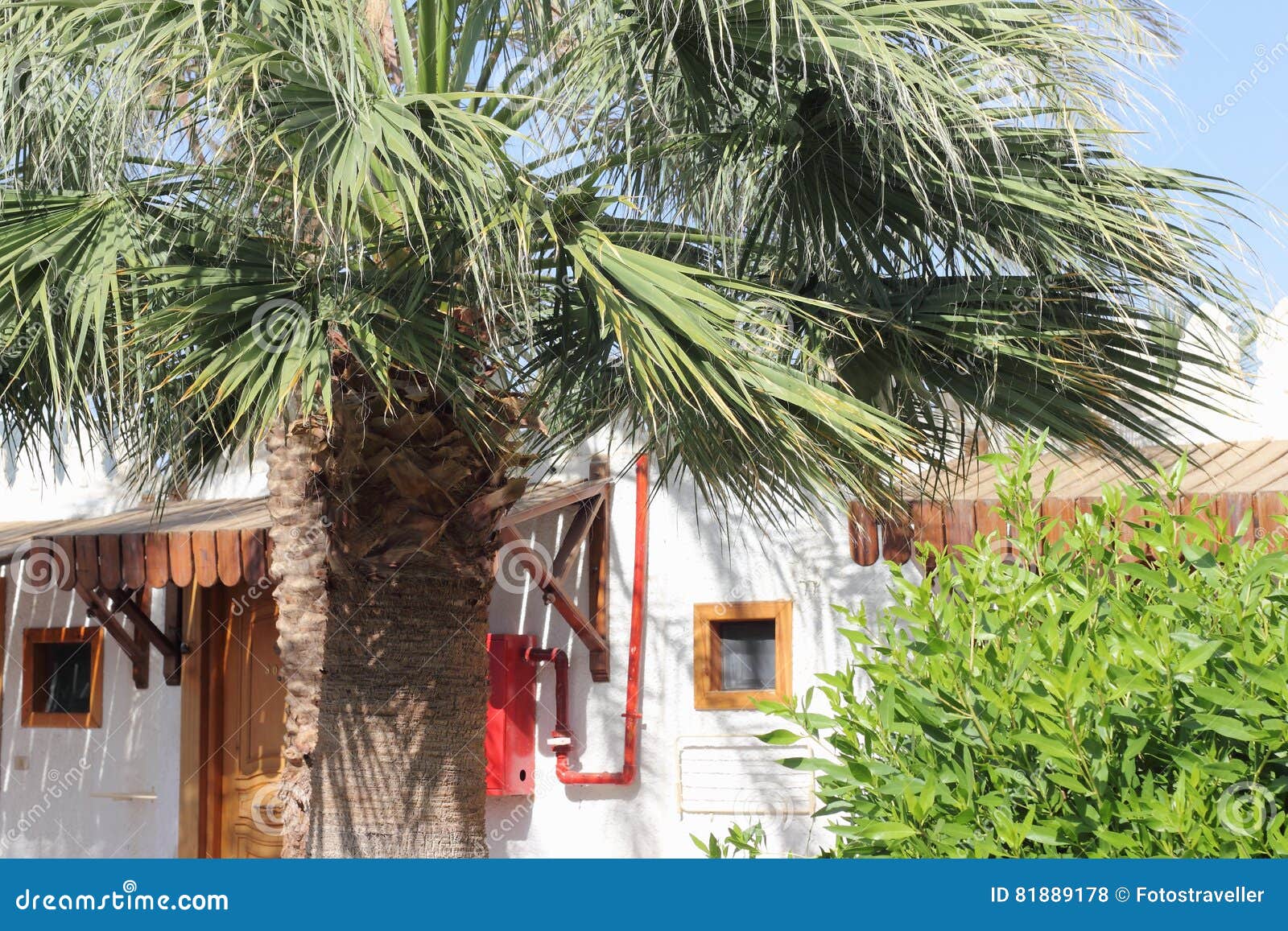 Hut under the palm tree stock photo. Image of exotica - 81889178