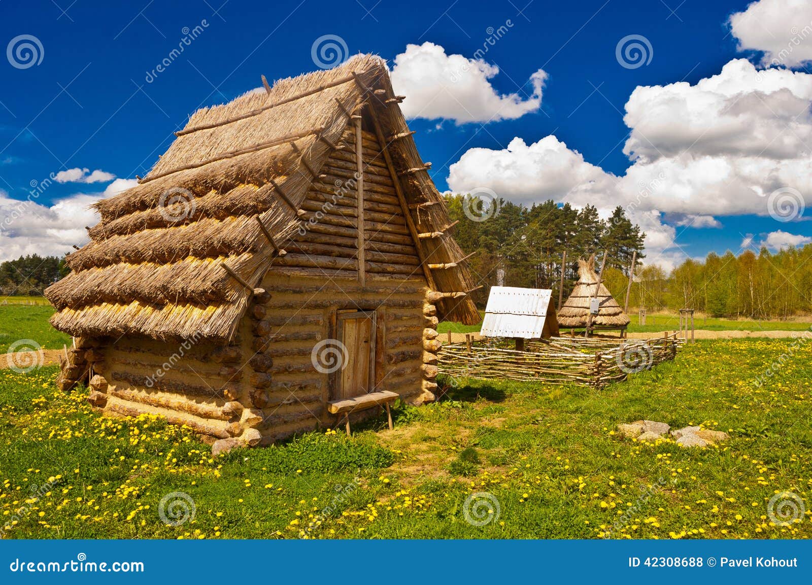 Huts stock photo. Image of grass, roof, home, history - 42308688
