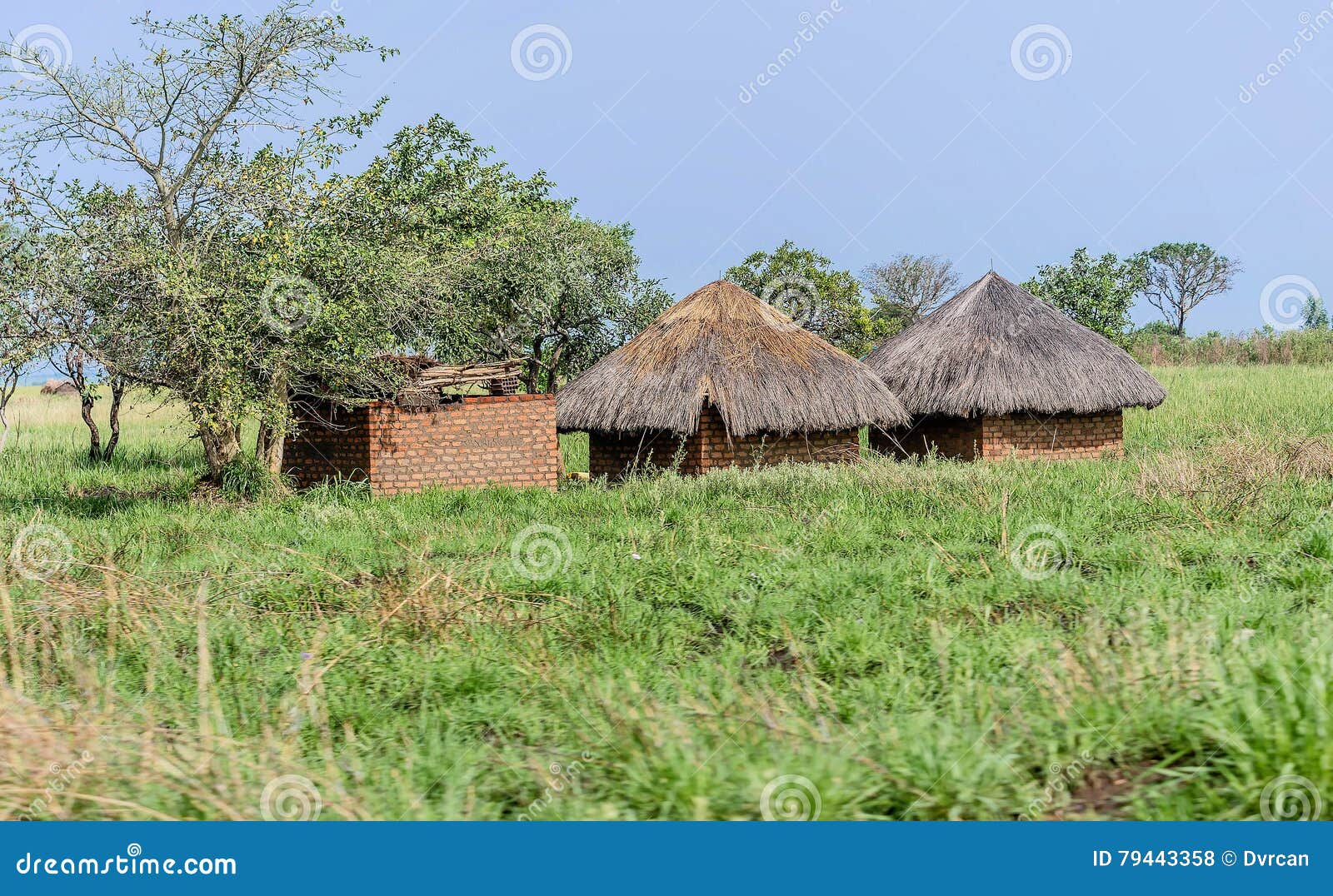 Huts in the Village in Uganda, Africa Stock Photo - Image of africa ...