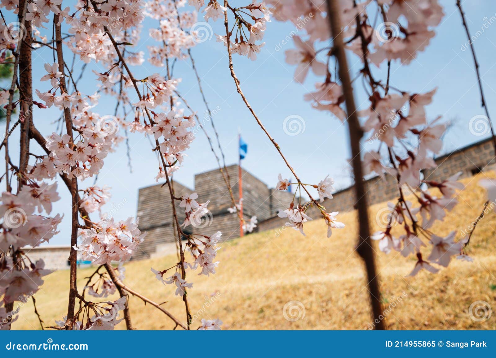 Hwaseong Fortress at Spring in Suwon, Korea Stock Image - Image of ...