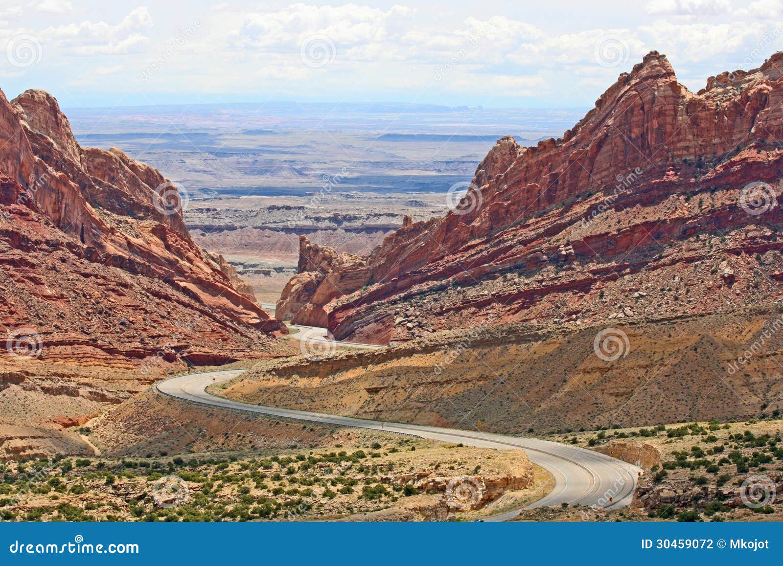 Spotted Wolf Spider, Wolf Spider With Fly. Stock Image | CartoonDealer ...