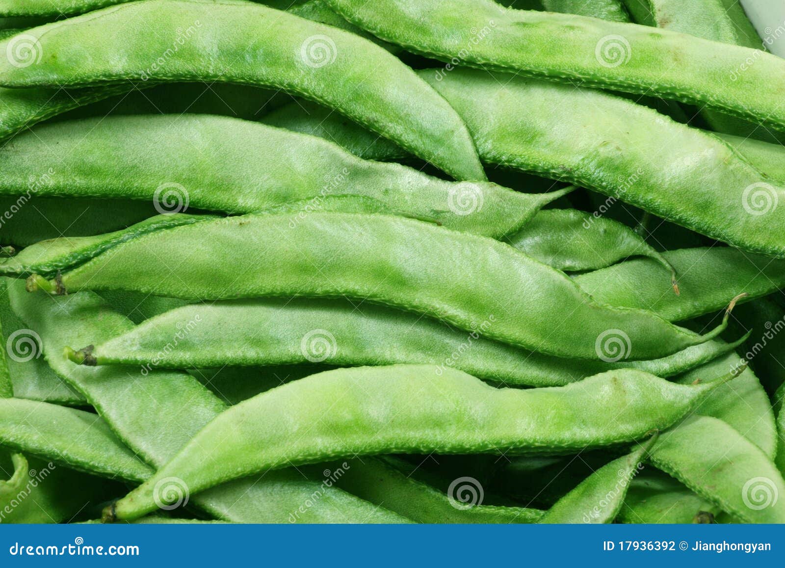 Hyacinth bean stock photo. Image of vegetable, legume - 17936392