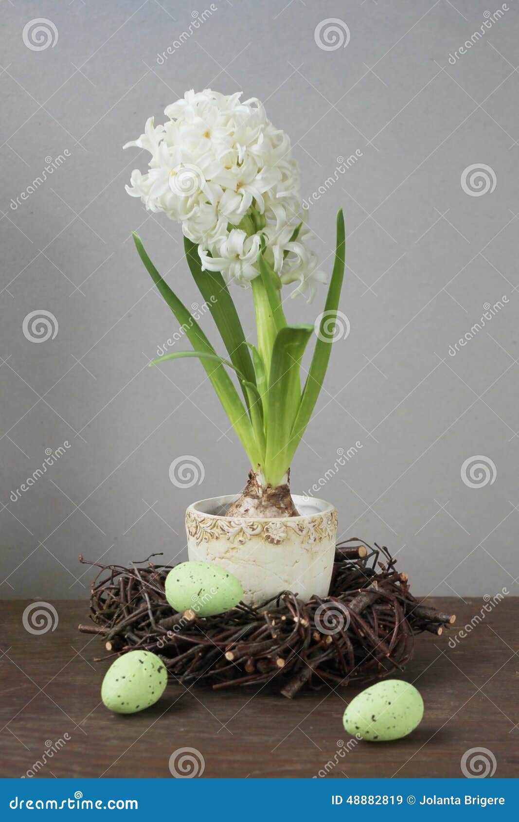 Hyacinth with eggs stock image. Image of handicrafts - 48882819