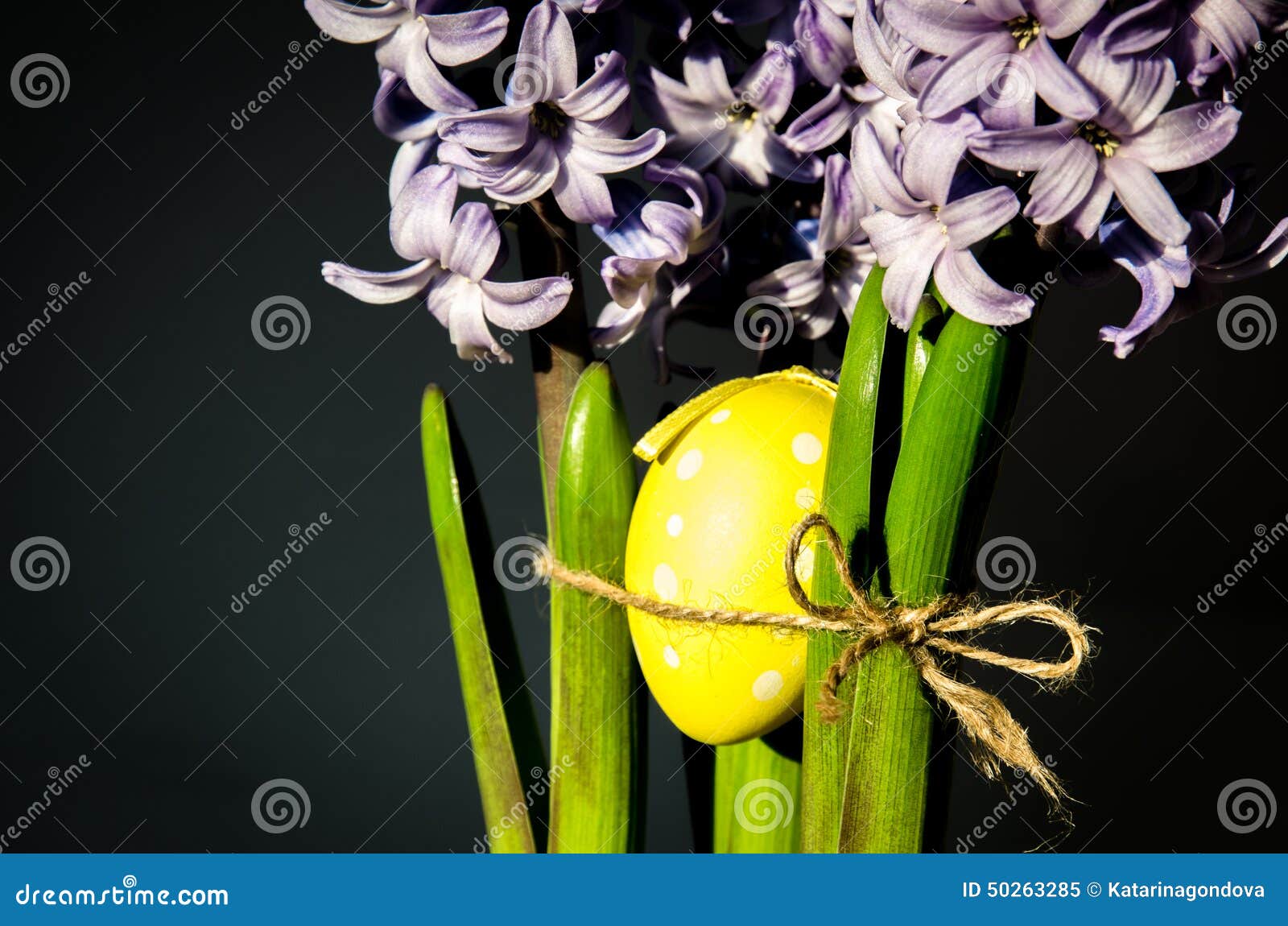 Hyacinth Flower and Easter Egg Stock Image - Image of detail, retro ...