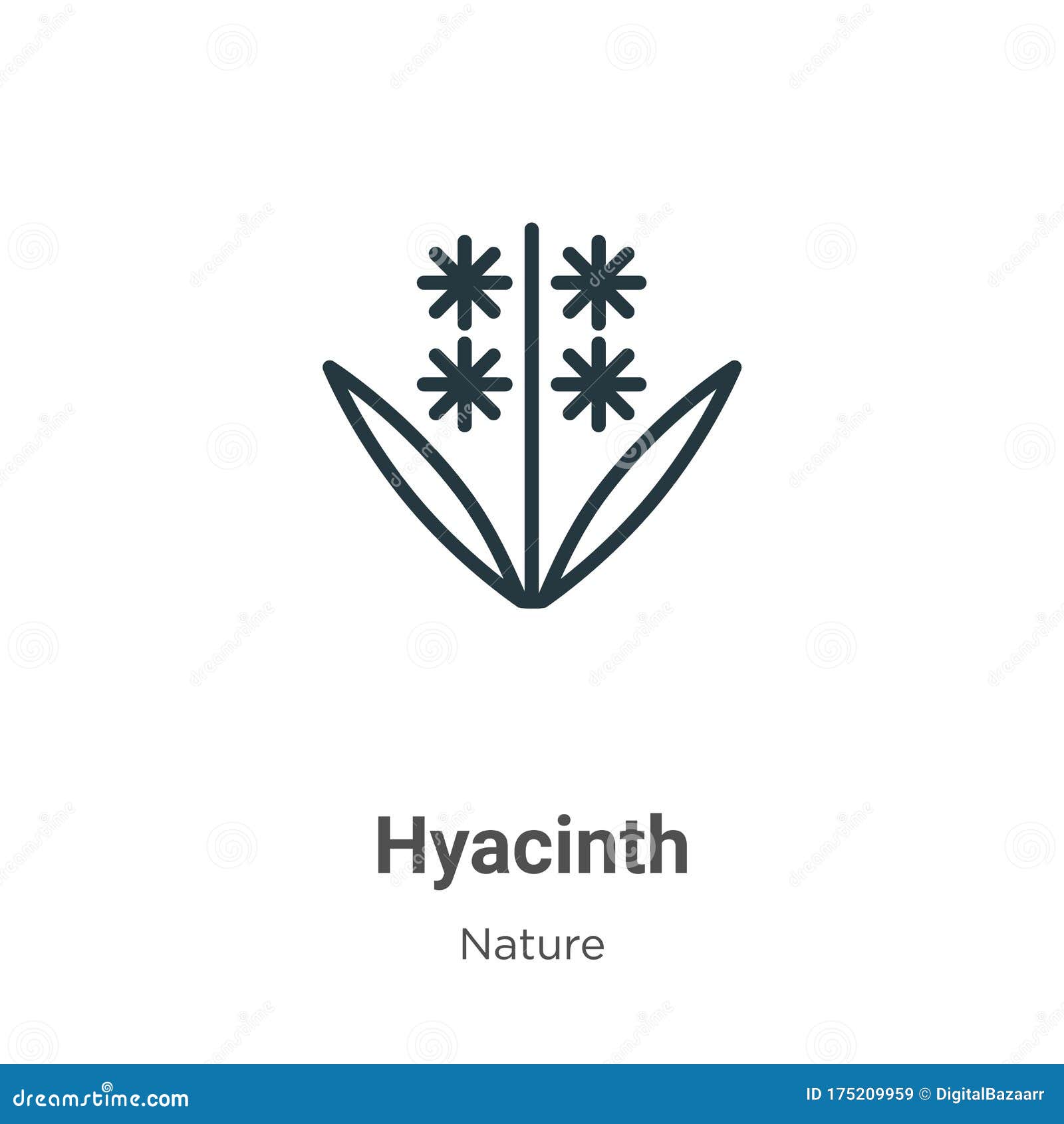Hyacinth Outline Vector Icon. Thin Line Black Hyacinth Icon, Flat ...
