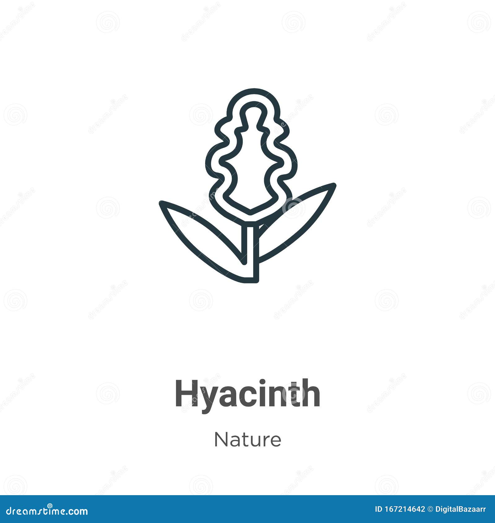 Hyacinth Outline Vector Icon. Thin Line Black Hyacinth Icon, Flat ...