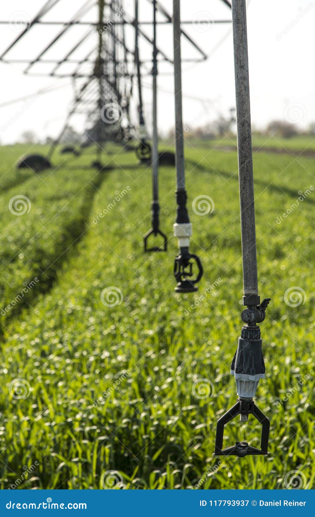 Hybrid Mobile Irrigation System Stock Image - Image of farming, hybrid ...