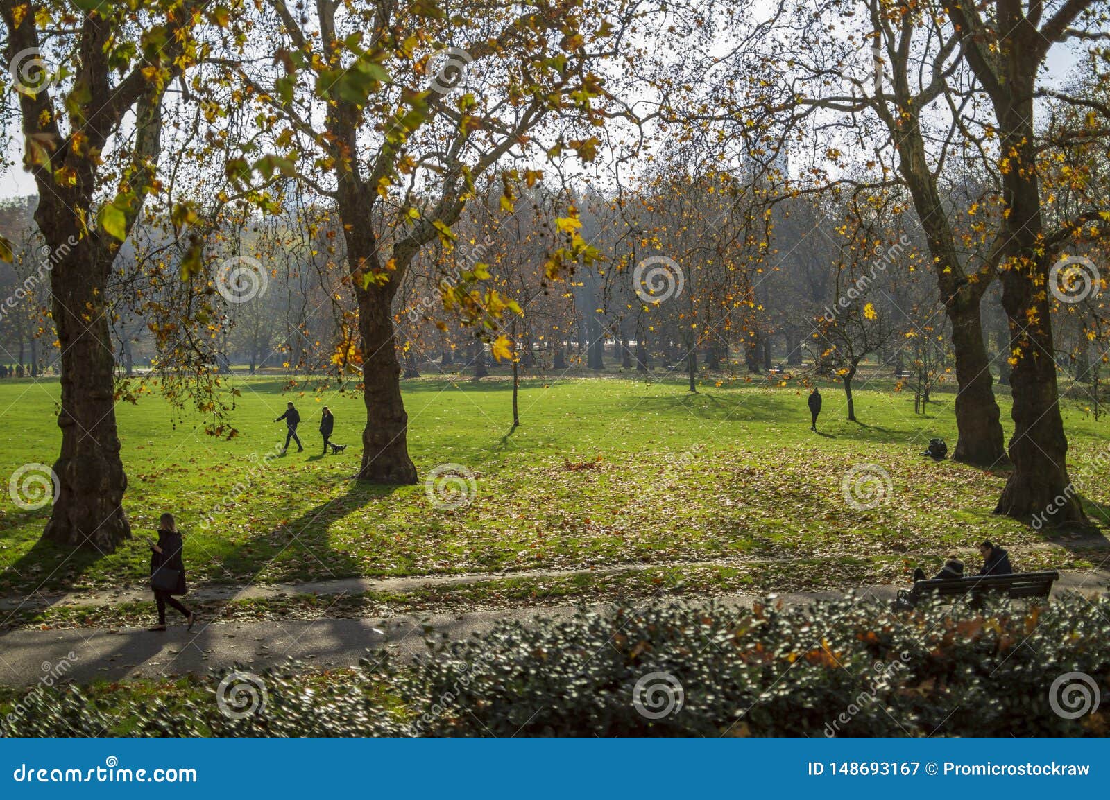 Hyde Park Path through Green Grass and Trees in London Editorial ...