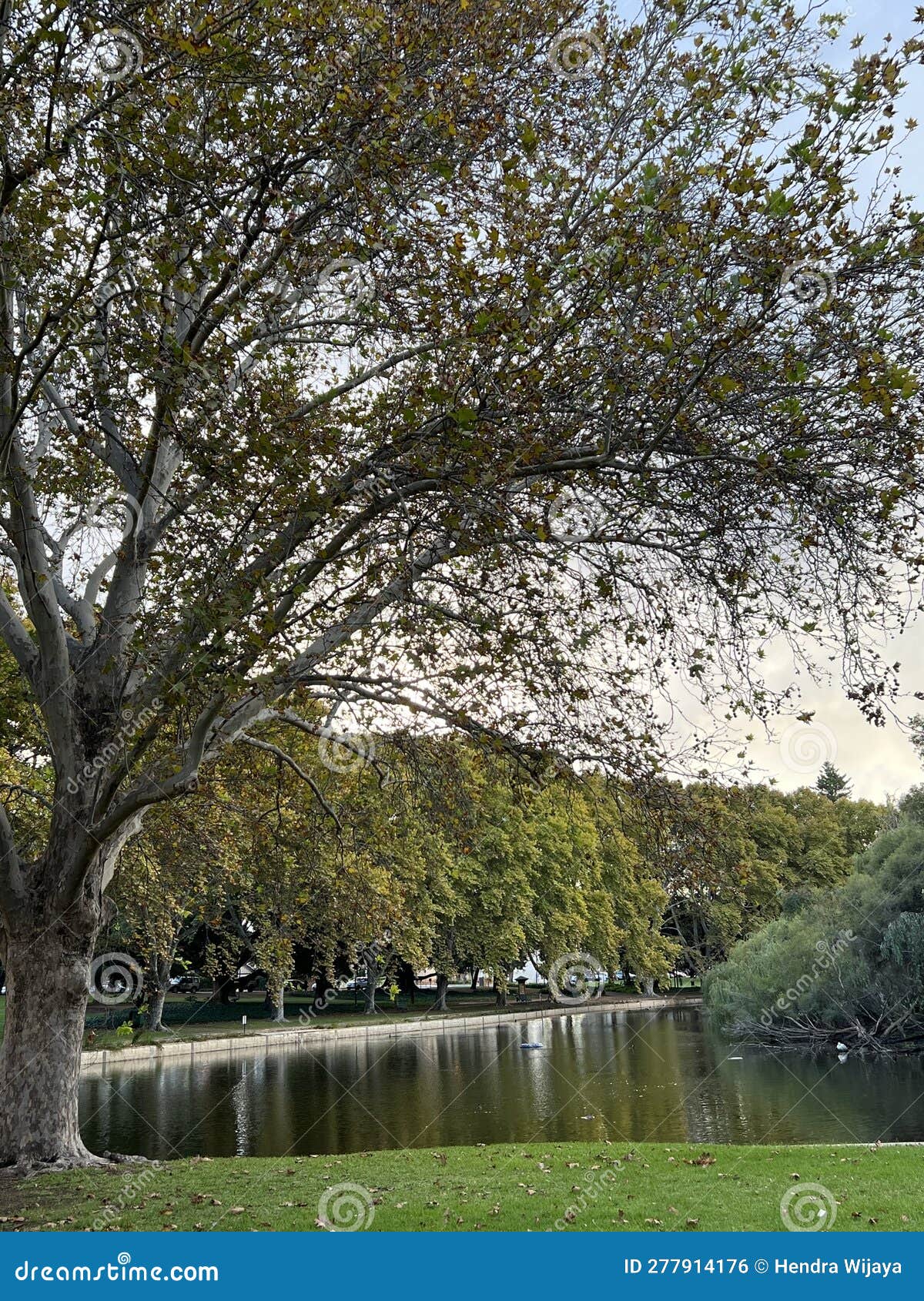 Hyde Park of Perth stock photo. Image of spring, nature - 277914176