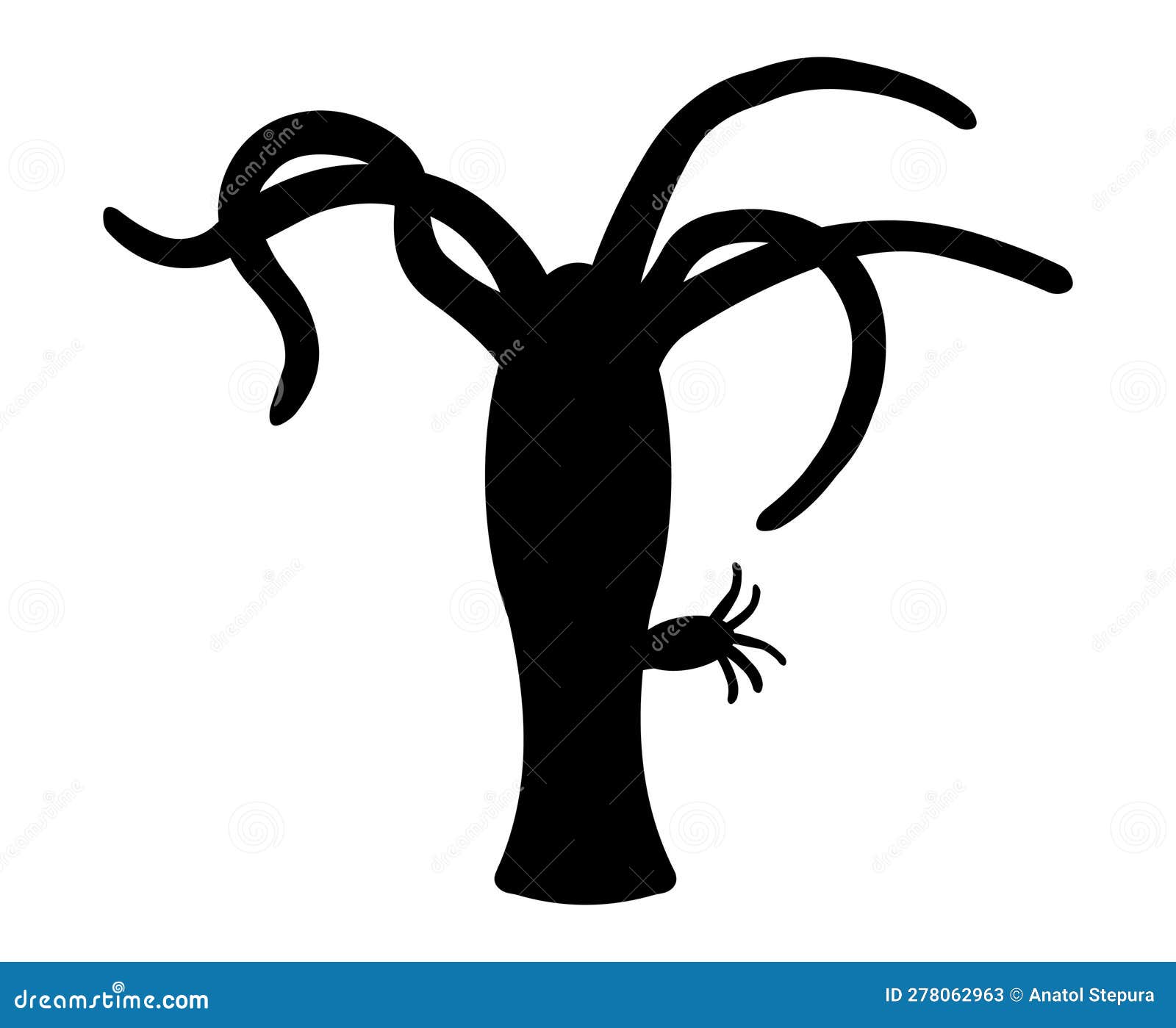 Black Silhouette of Freshwater Hydra. Stock Vector - Illustration of ...