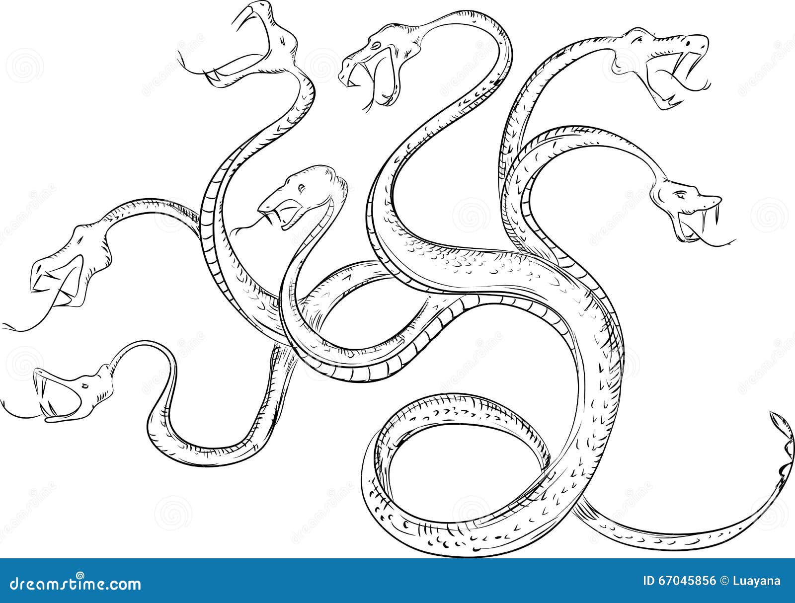 Sketch Map Of Hydra. Cartoon Vector | CartoonDealer.com #180904595