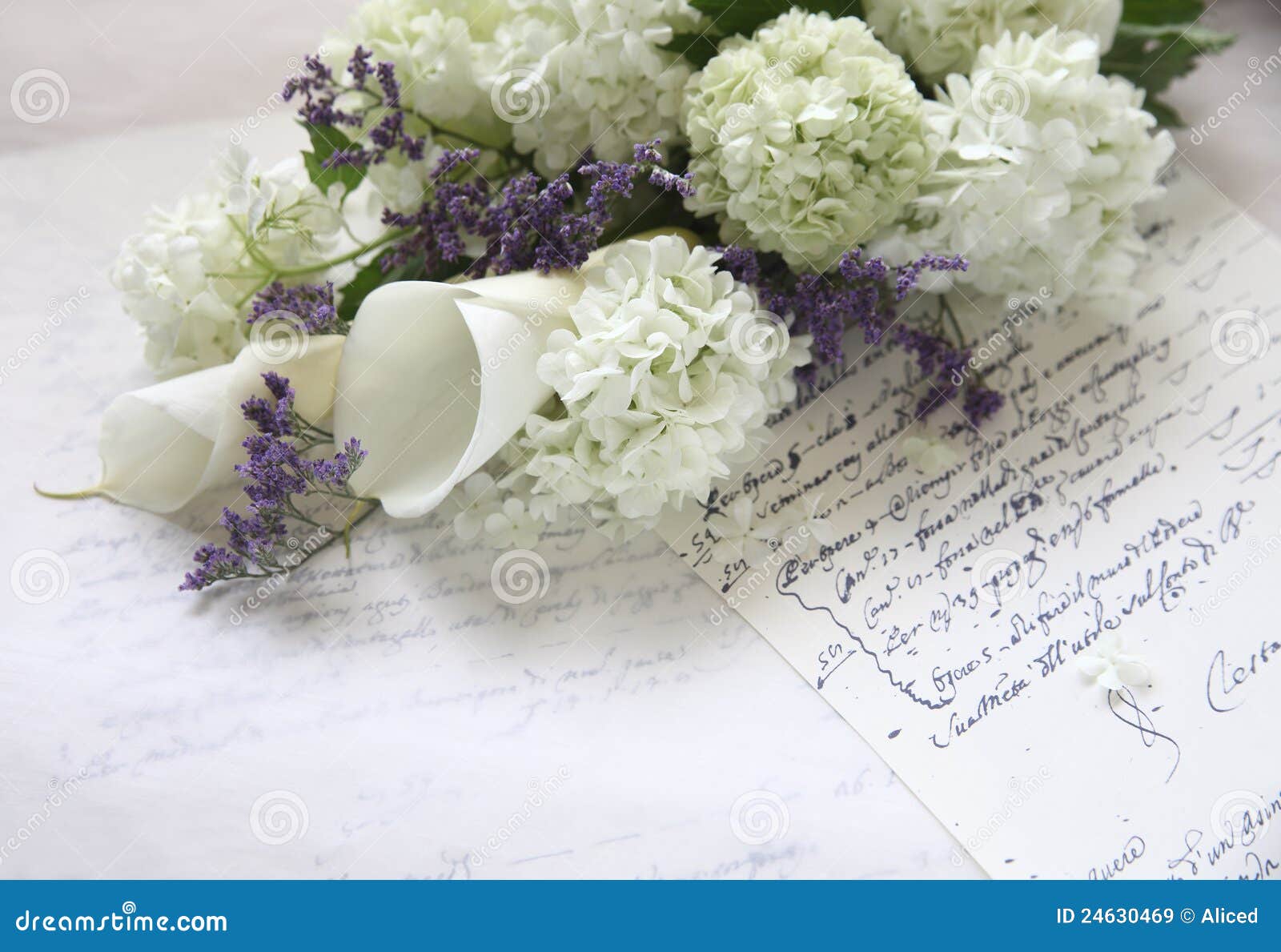 Hydrangea Flower Bouquet on Old Script Stock Image - Image of ...
