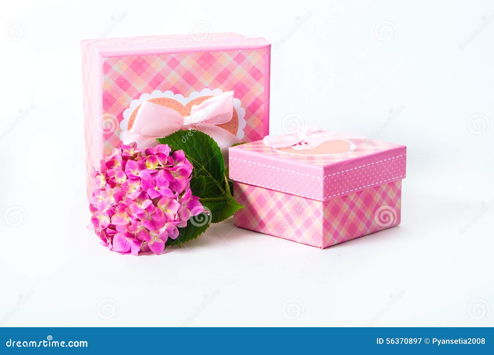 Hydrangea Flower and Gift Box Stock Image - Image of beautiful ...