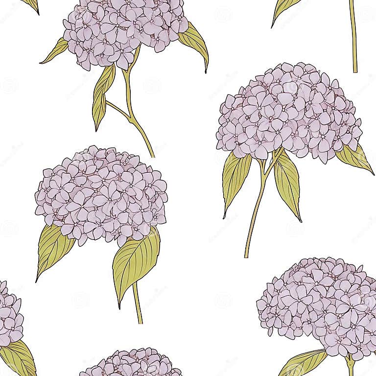 Hydrangea Flower Seamless Pattern. Floral Seamless Background Stock Illustration - Illustration ...