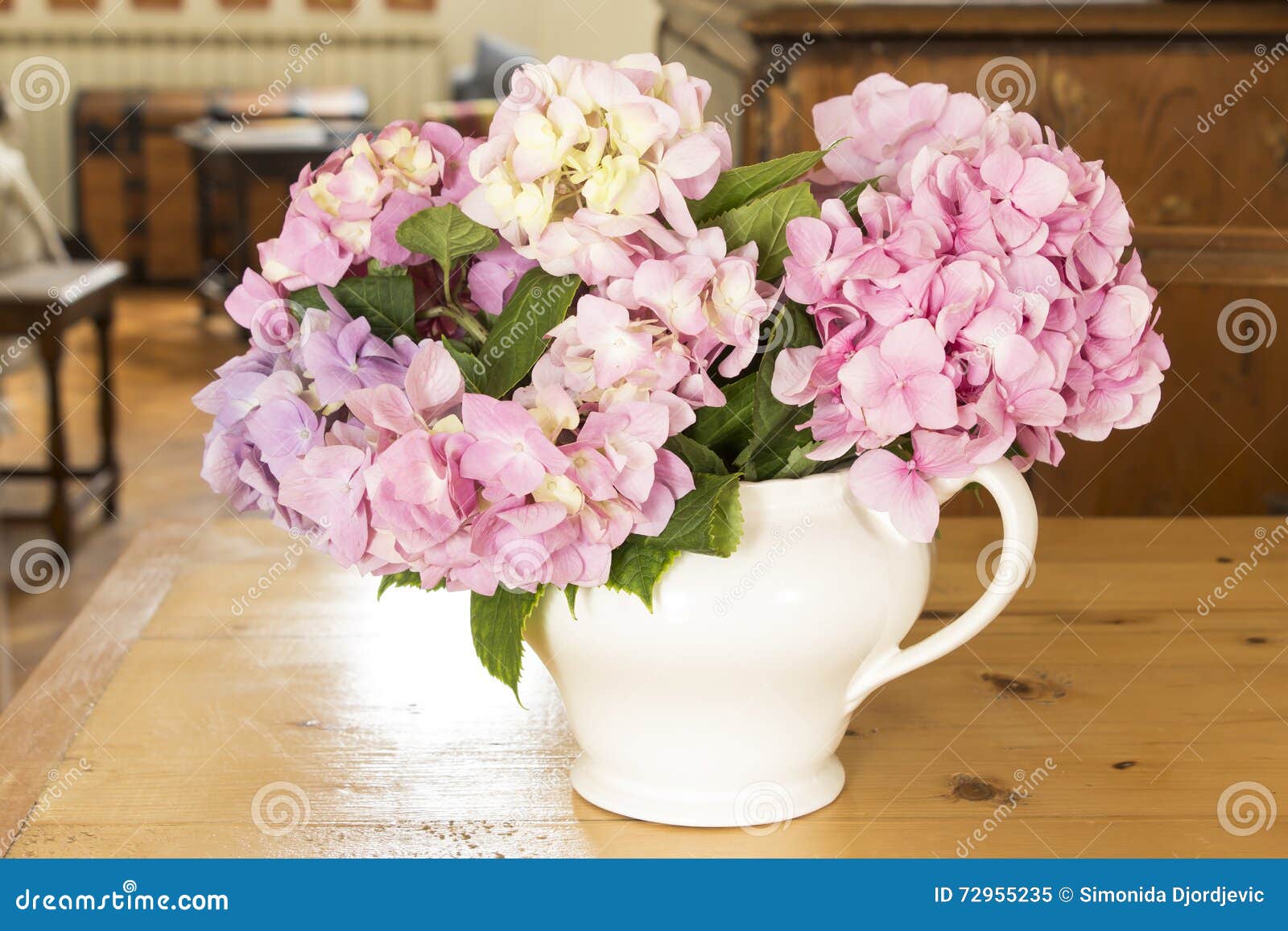 Hydrangea Flowers on a Table in the Living Room Stock Image - Image of ...