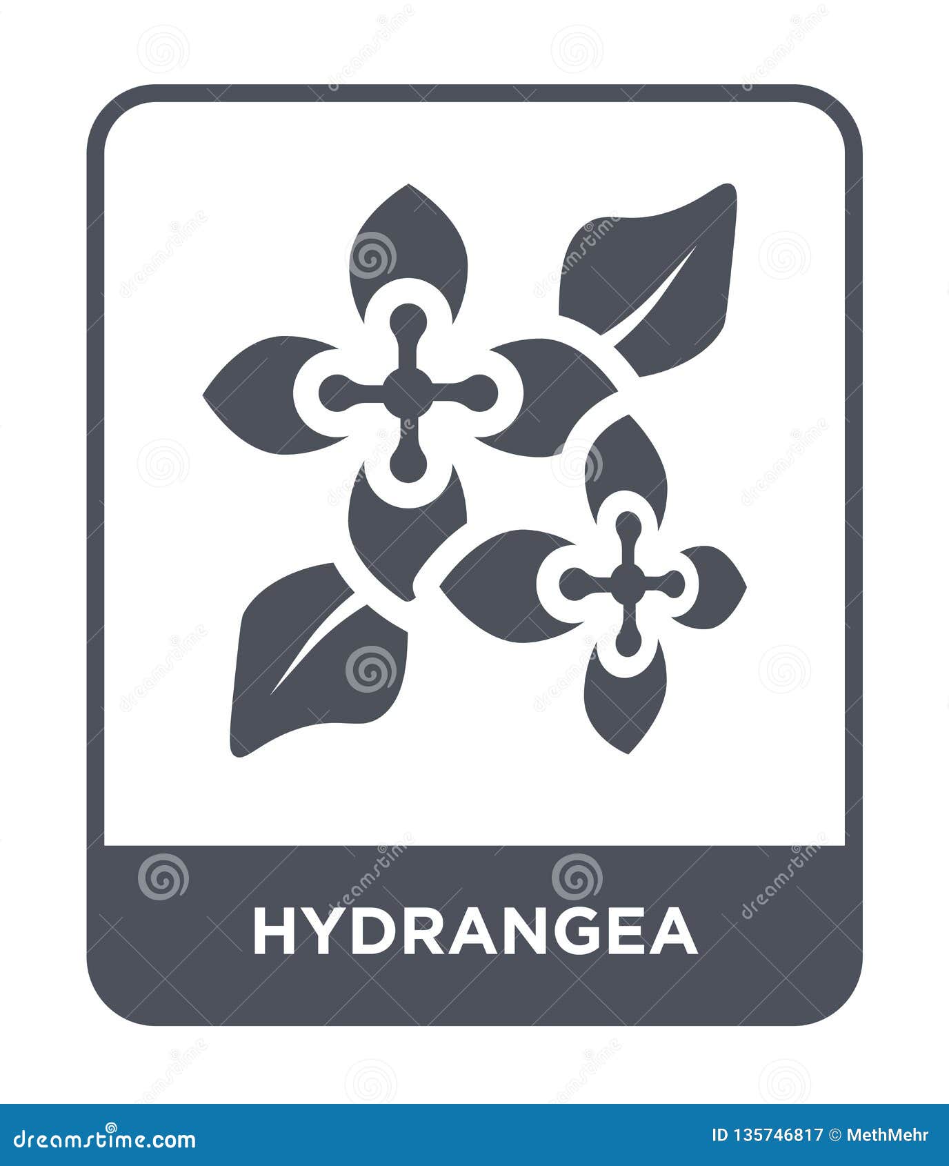 Hydrangea Icon in Trendy Design Style. Hydrangea Icon Isolated on White ...