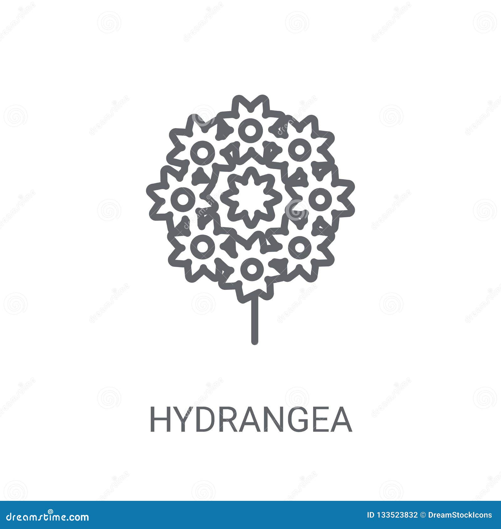 Hydrangea Icon. Trendy Hydrangea Logo Concept on White Backgroun Stock ...