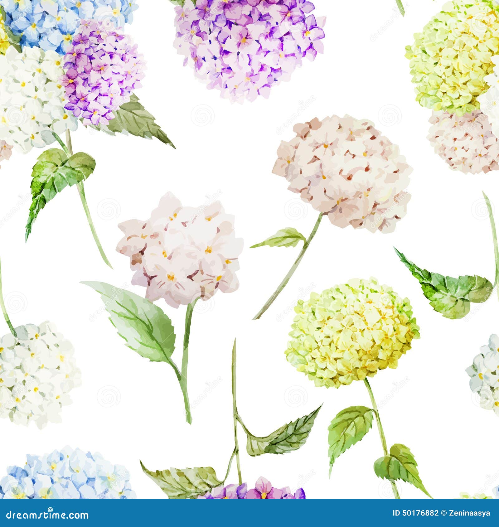 Hydrangea pattern stock vector. Illustration of summer - 50176882