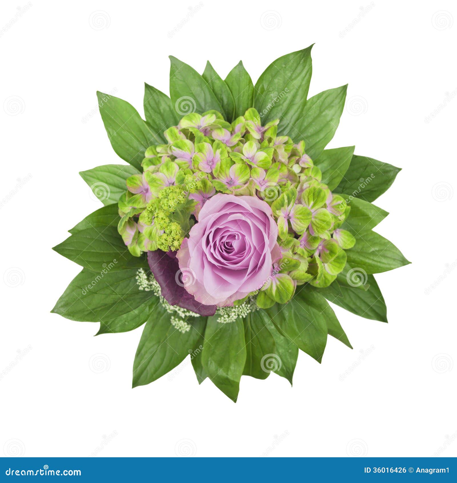 Hydrangea and rose bouquet stock photo. Image of beautiful - 36016426