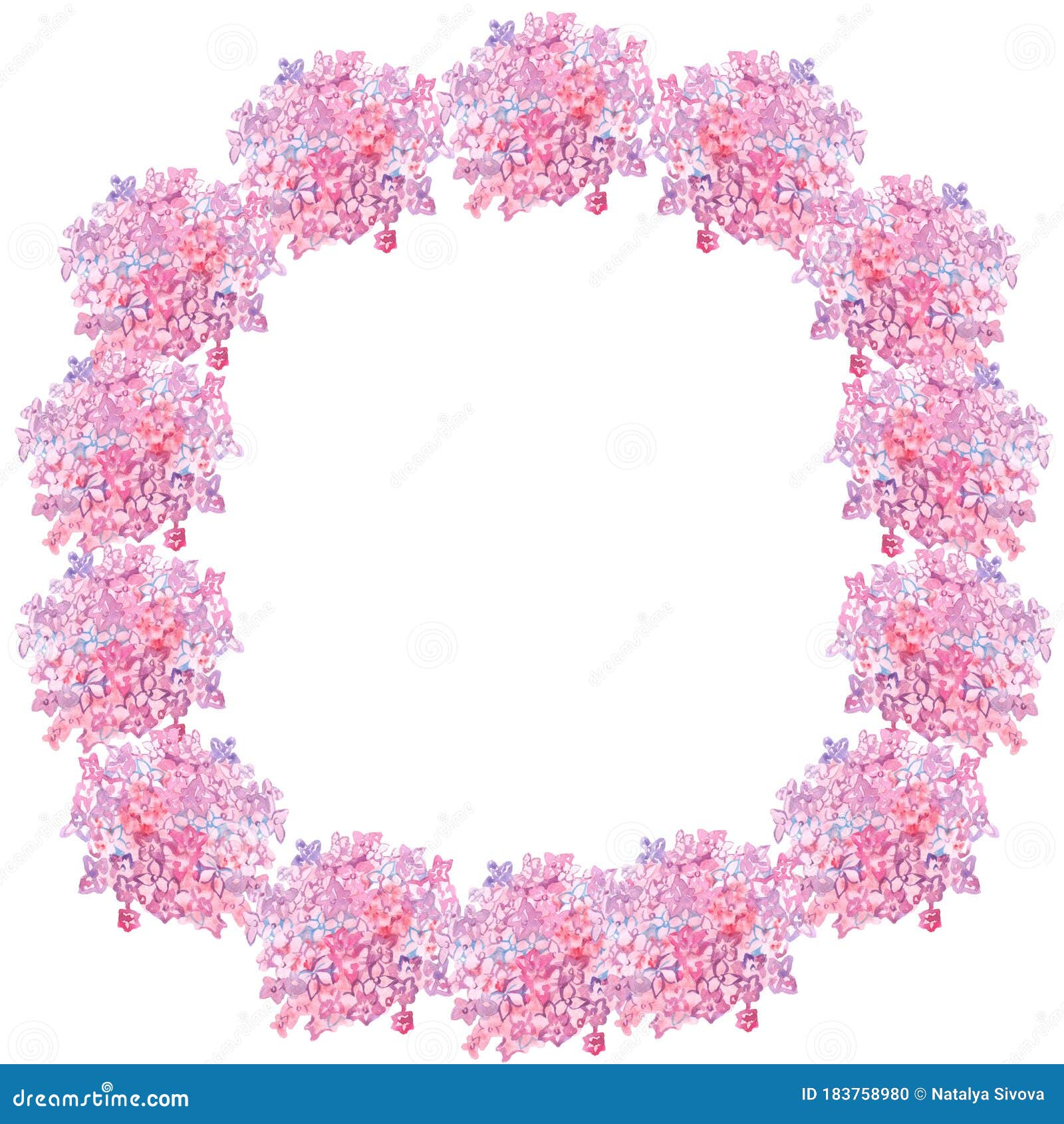 Hydrangea Round Frame Pink Flower Stock Illustration - Illustration of ...