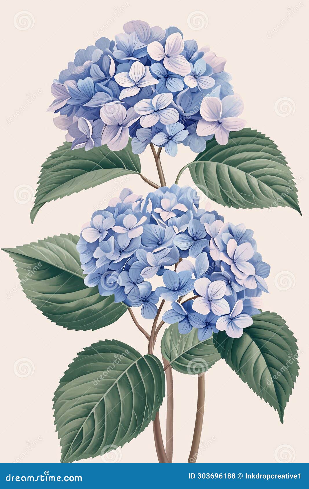 Hydrangea Single Stem Vintage Floral Botanical Flower Print Stock Photo ...