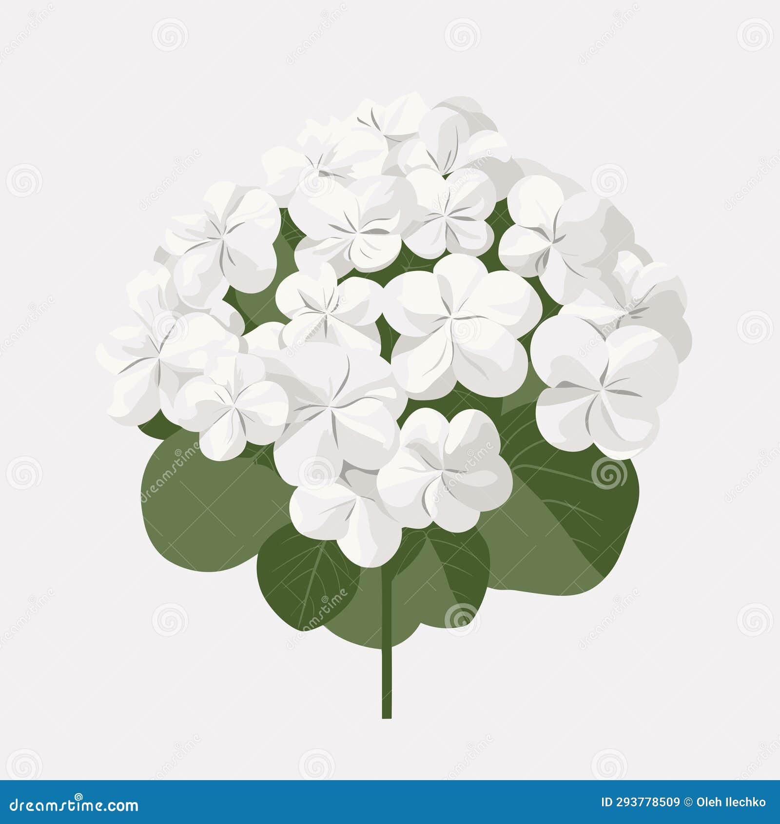 Hydrangea Vector Flat Minimalistic Isolated Illustration Stock Vector ...