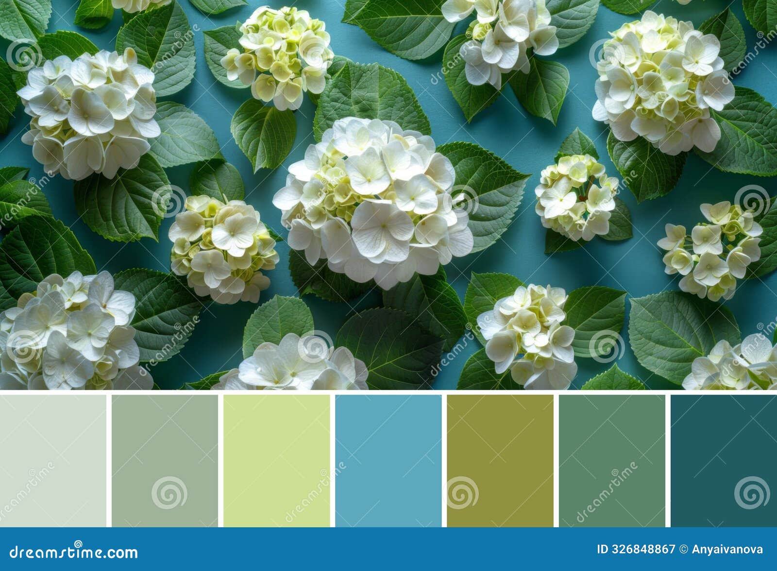 Hydrangeas and Green Leaves Flat Lay with Color Palette for Design ...