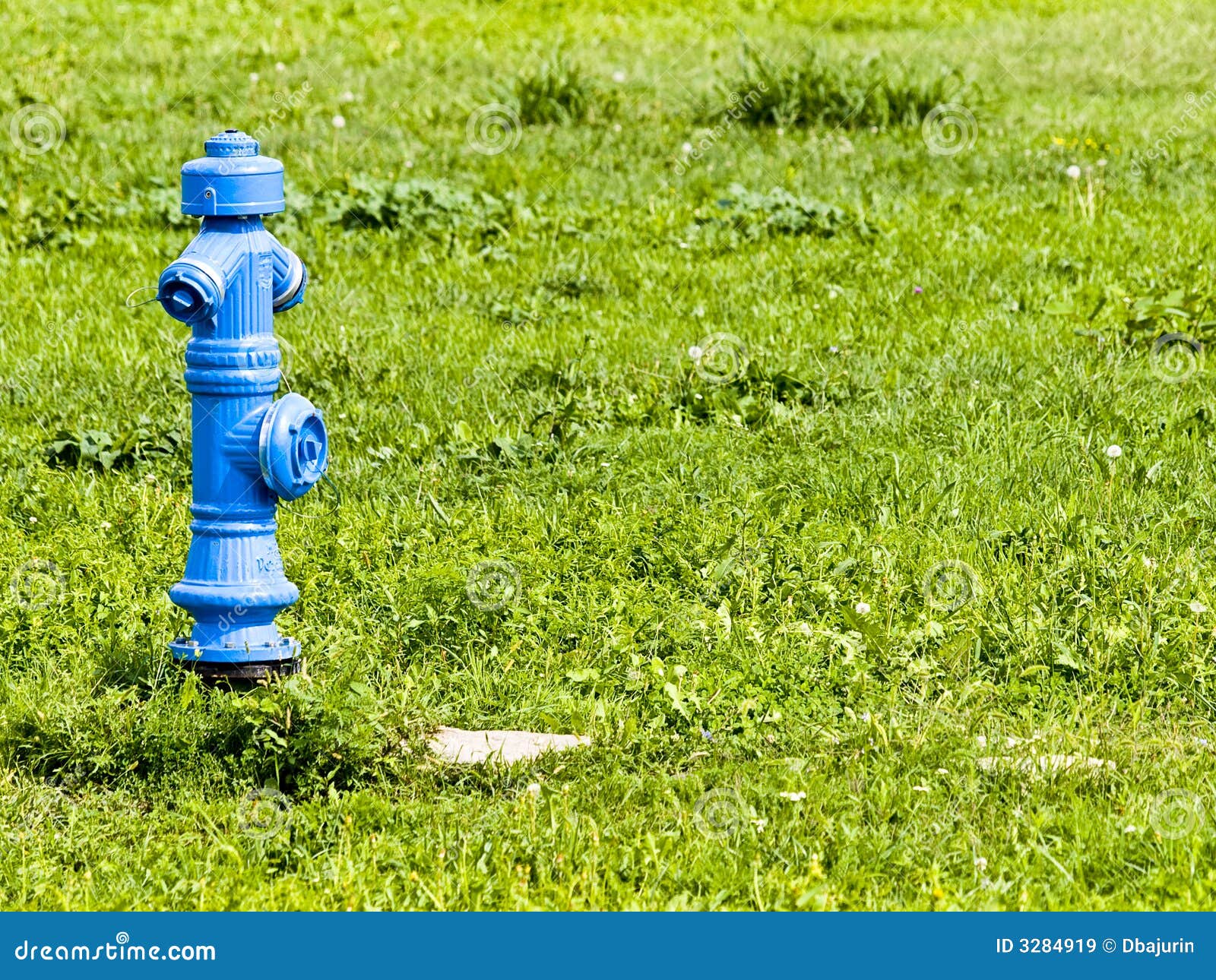 Hydrant stock image. Image of sunny, green, blue, ready - 3284919
