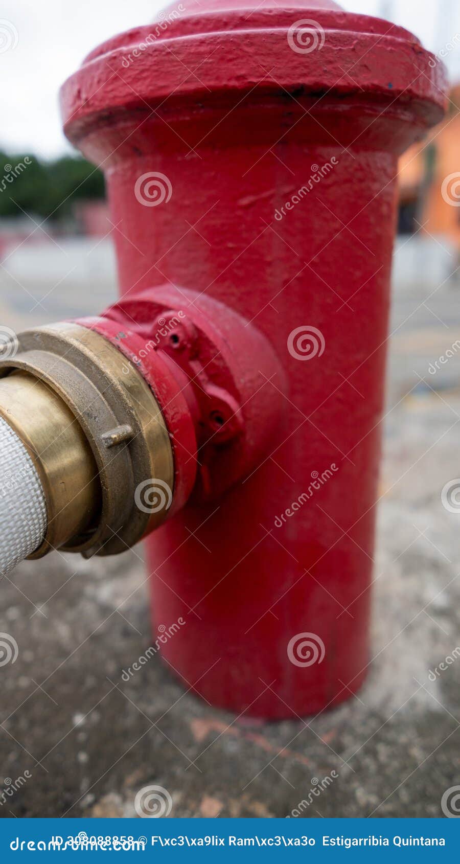 Hydrant with hose stock photo. Image of cover, tree - 308088858