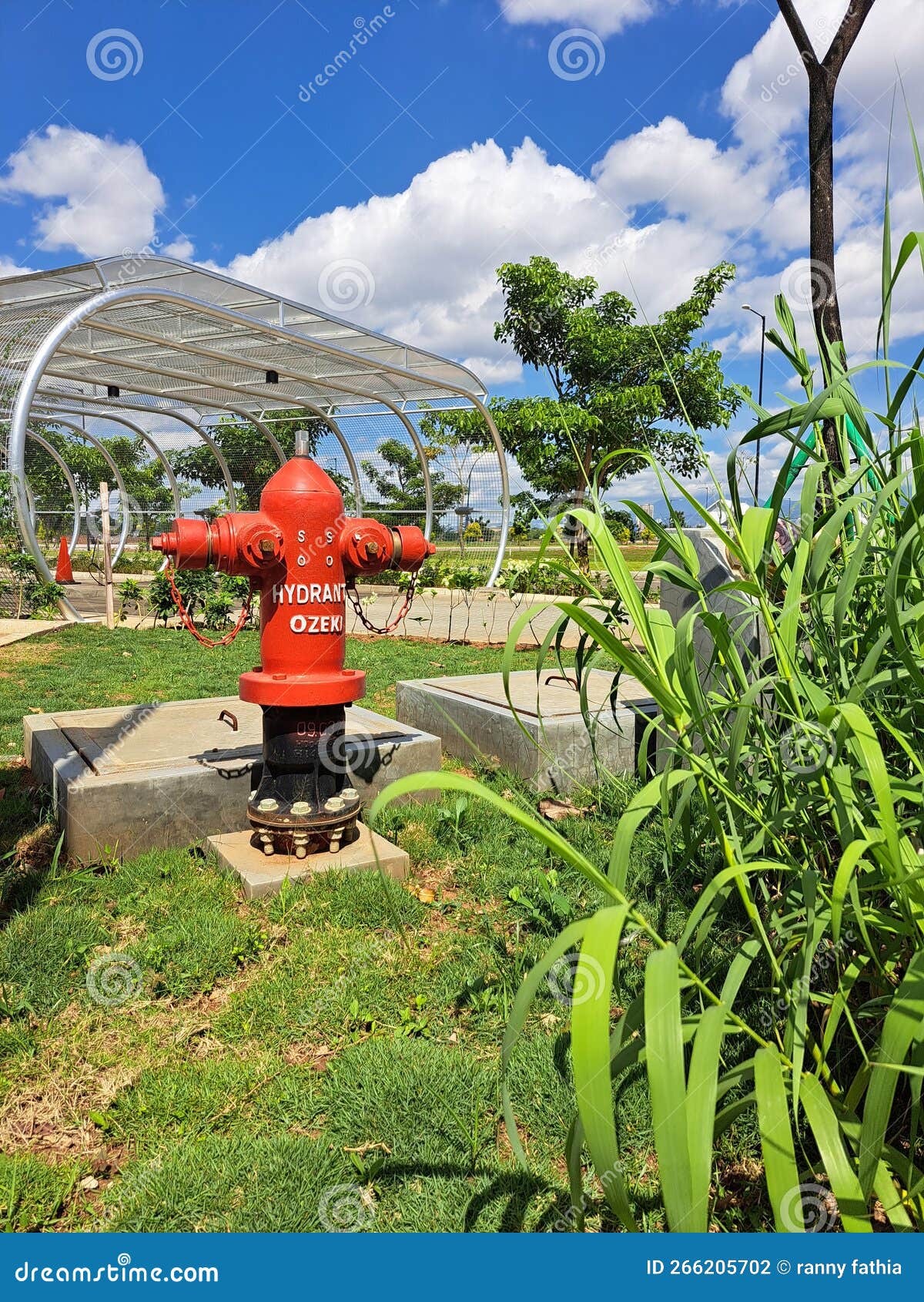 Hydrant at Park Under the Blue Sky Stock Photo - Image of blue, hydrant ...