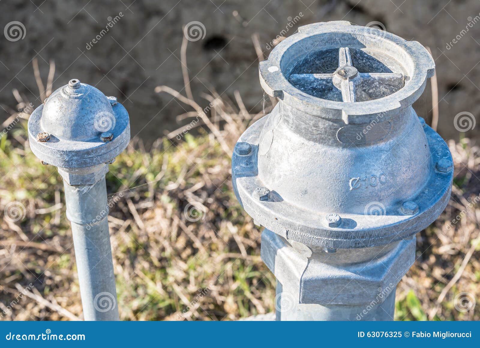 Hydrant to irrigate stock image. Image of harvest, hydrant - 63076325