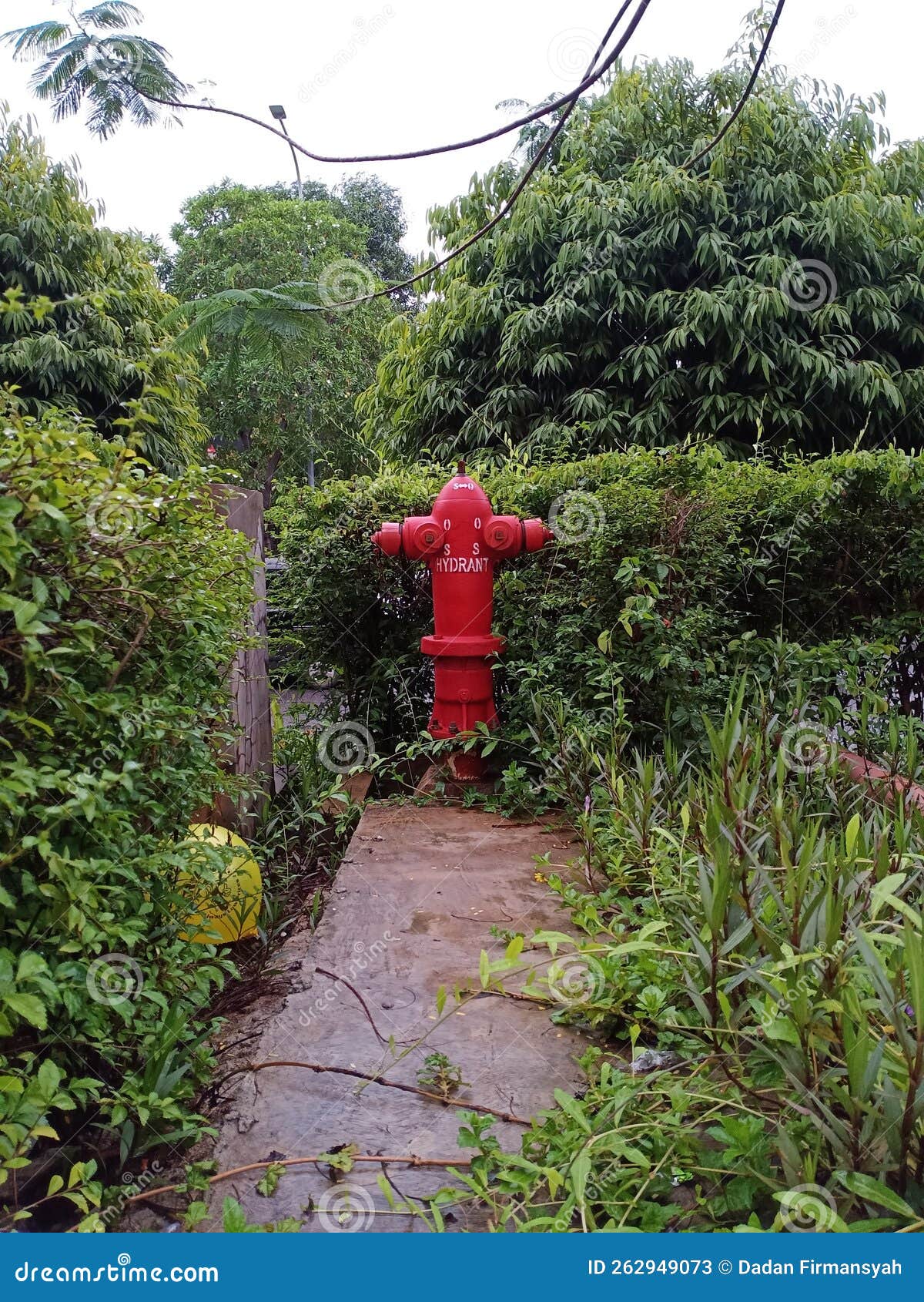 Hydrant Water Grass Green Tree Stock Image - Image of forest, shrub ...
