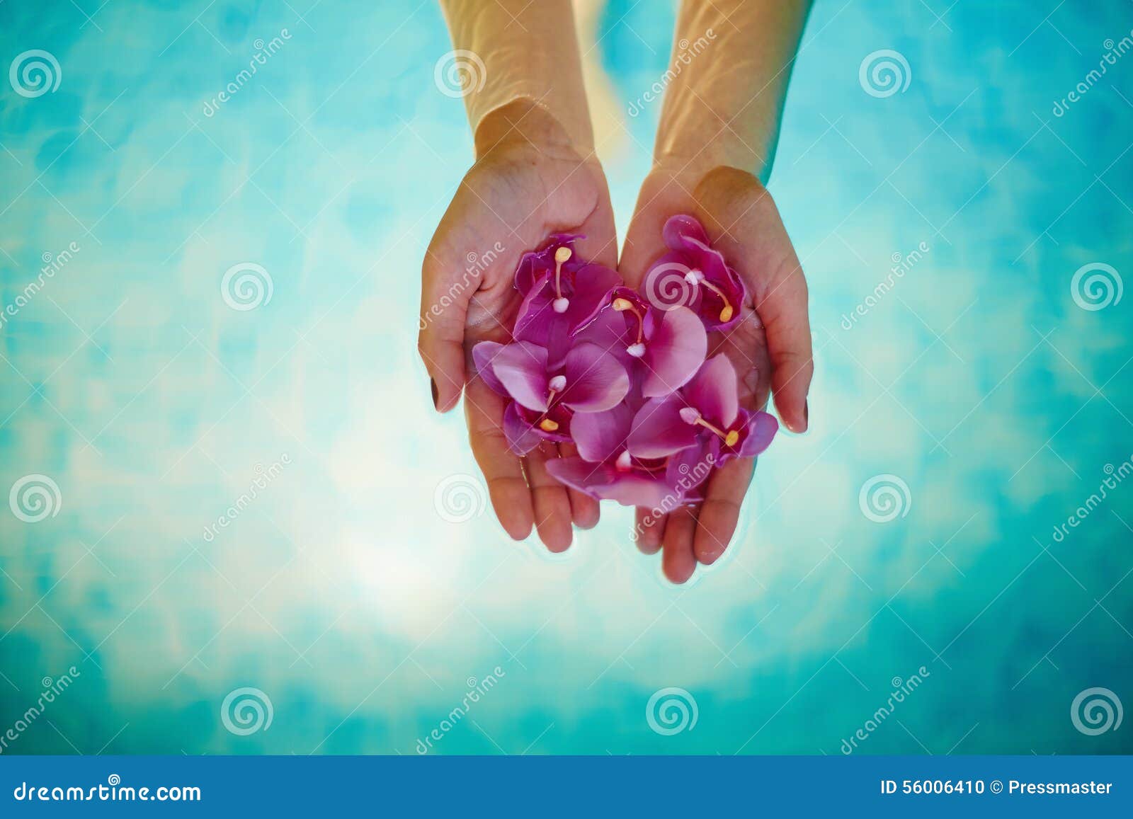 Hydration stock photo. Image of aromatic, treatment, flower - 56006410