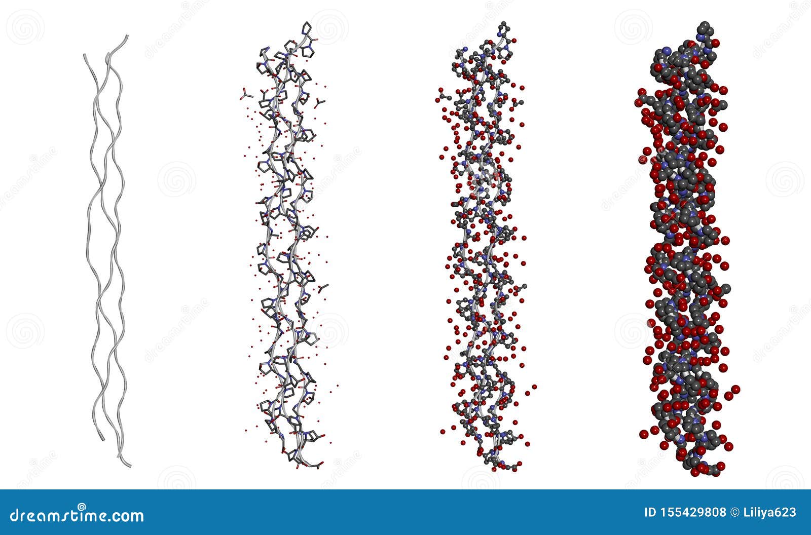 Hydration Structure of a Triple Helix Collagen Peptide Molecule in ... Hydration Structure of a Triple Helix Collagen Peptide Molecule in ...