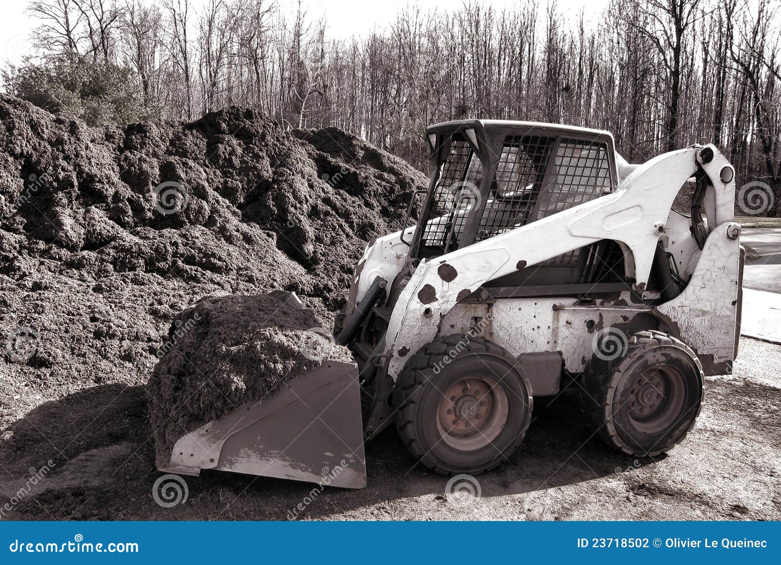 Hydraulic Skid Steer Loader Machine at Mulch Pile Stock Photo - Image ...