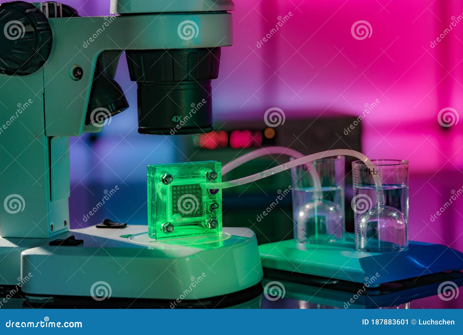 Hydrogen Fuel Cell in a Research Laboratory Stock Image - Image of ...