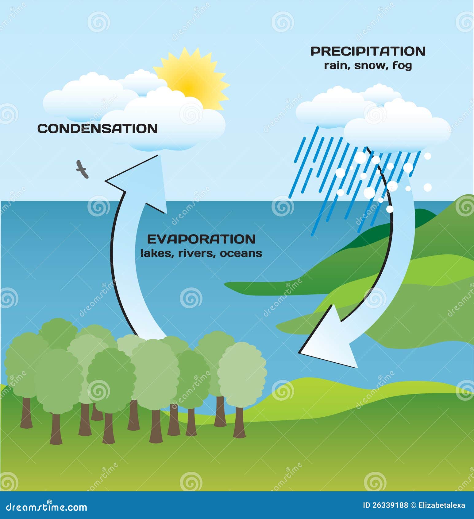 The hydrologic circle stock vector. Illustration of abstract - 26339188