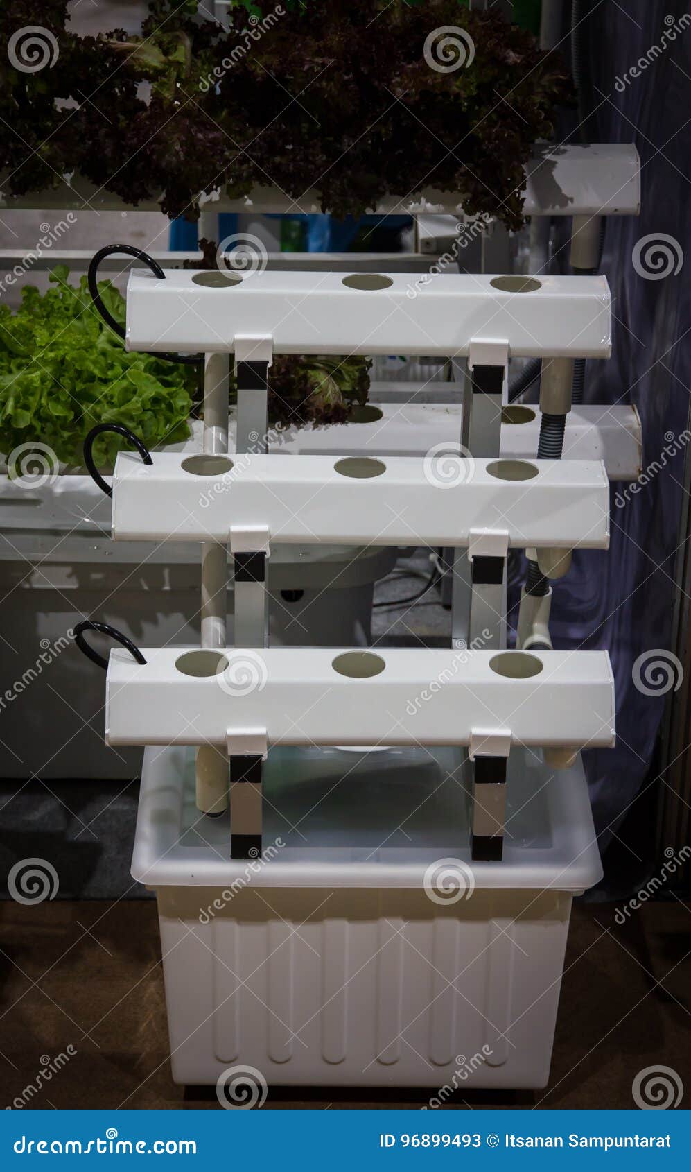 Hydroponic Gardening Set stock image. Image of planter - 96899493