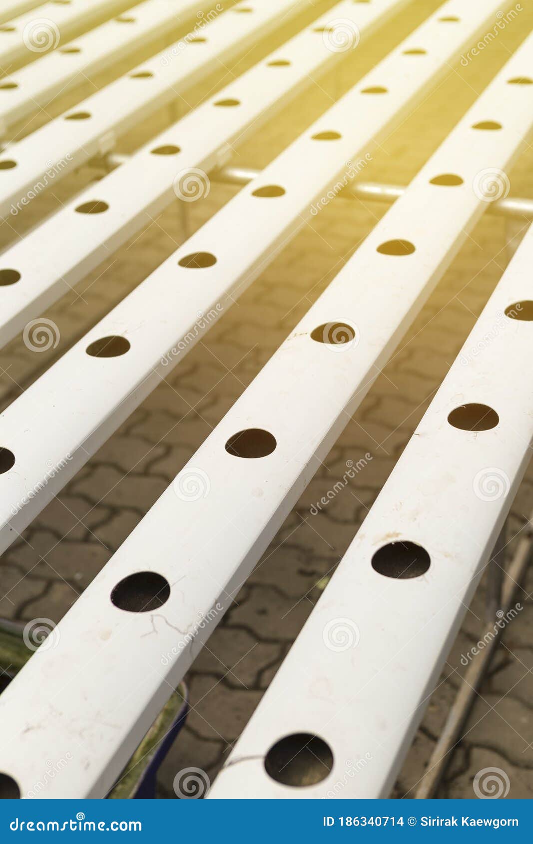 Hydroponic Rail System, New Agriculture System Technology Stock Photo ...