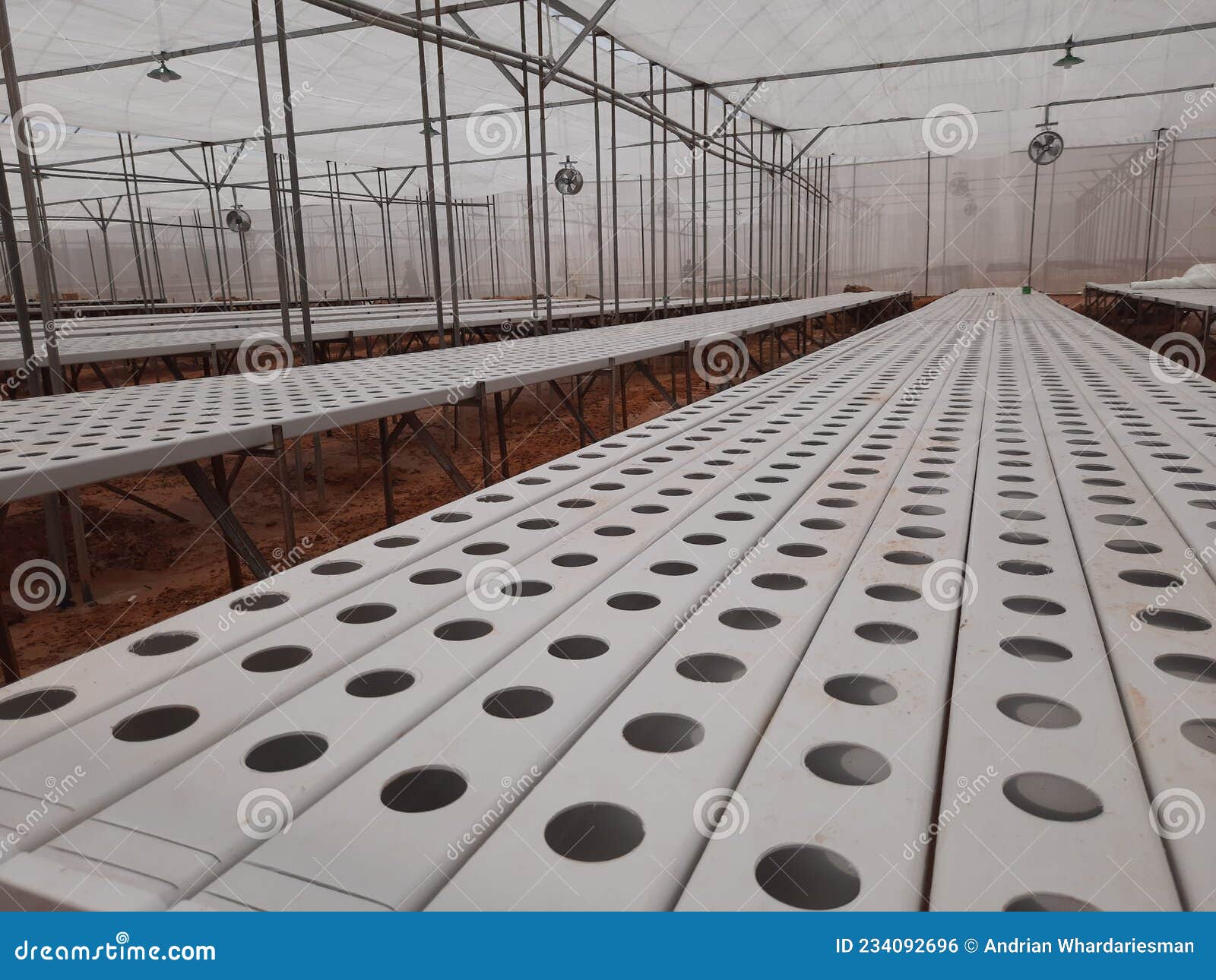 Hydroponic Rails in Plant Nurseries Stock Photo - Image of green, plant ...