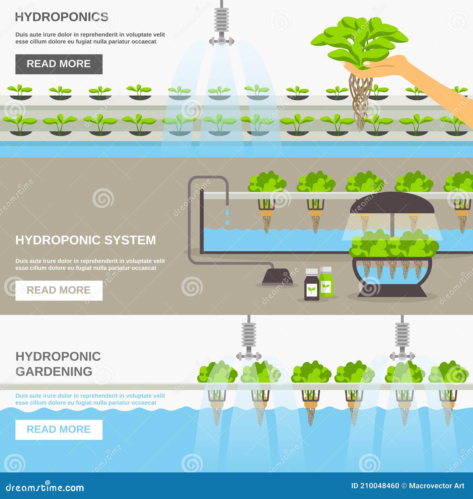 Hydroponic System Infographic Layout Vector Illustration ...