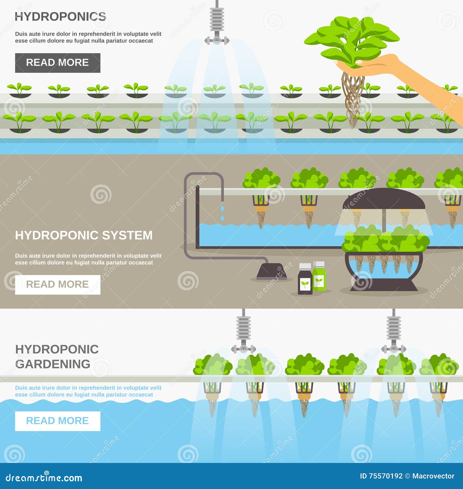 Hydroponic System Illustration Stock Vector - Illustration of garden ...