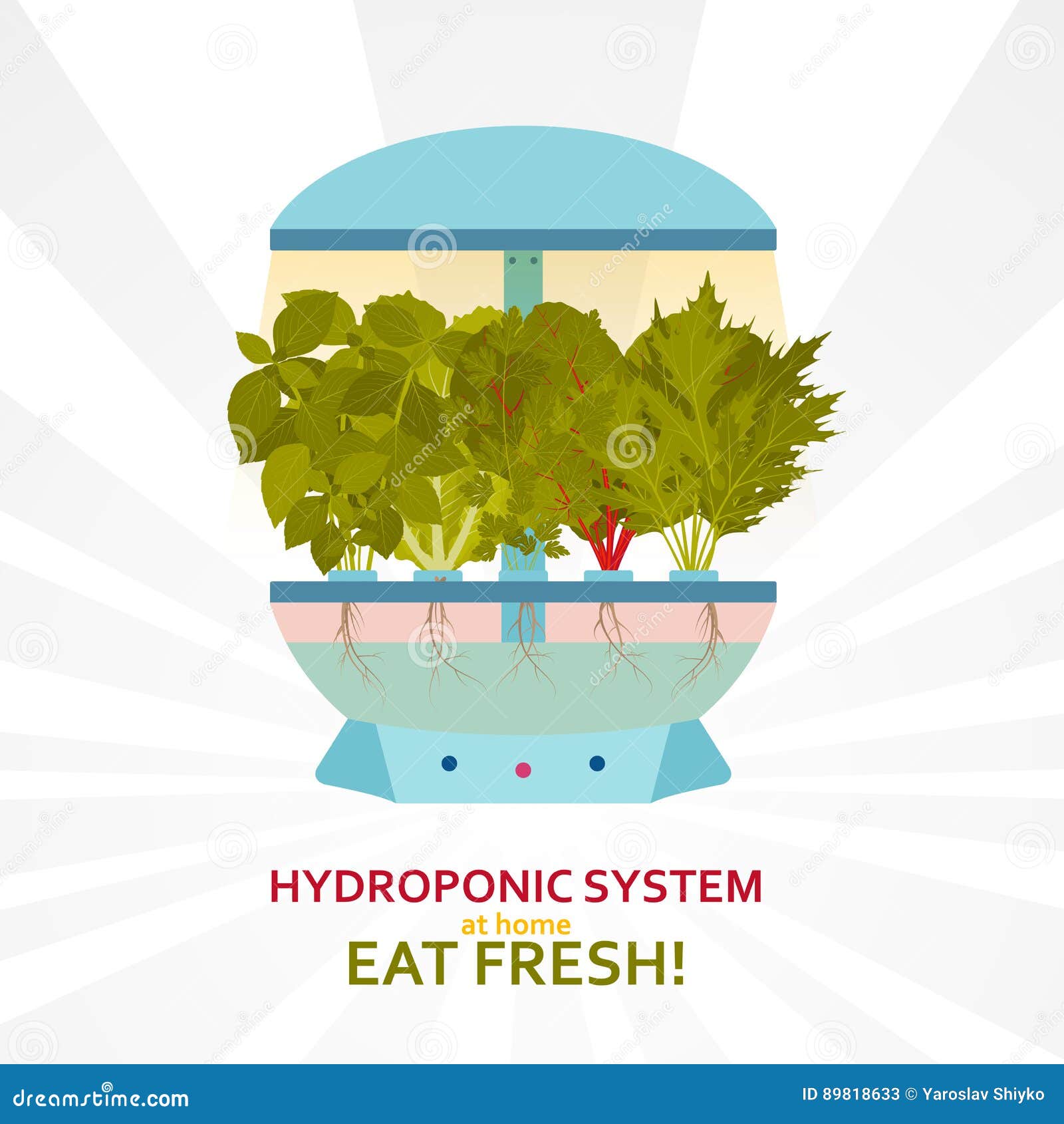Hydroponic System Infographic Layout Vector Illustration ...