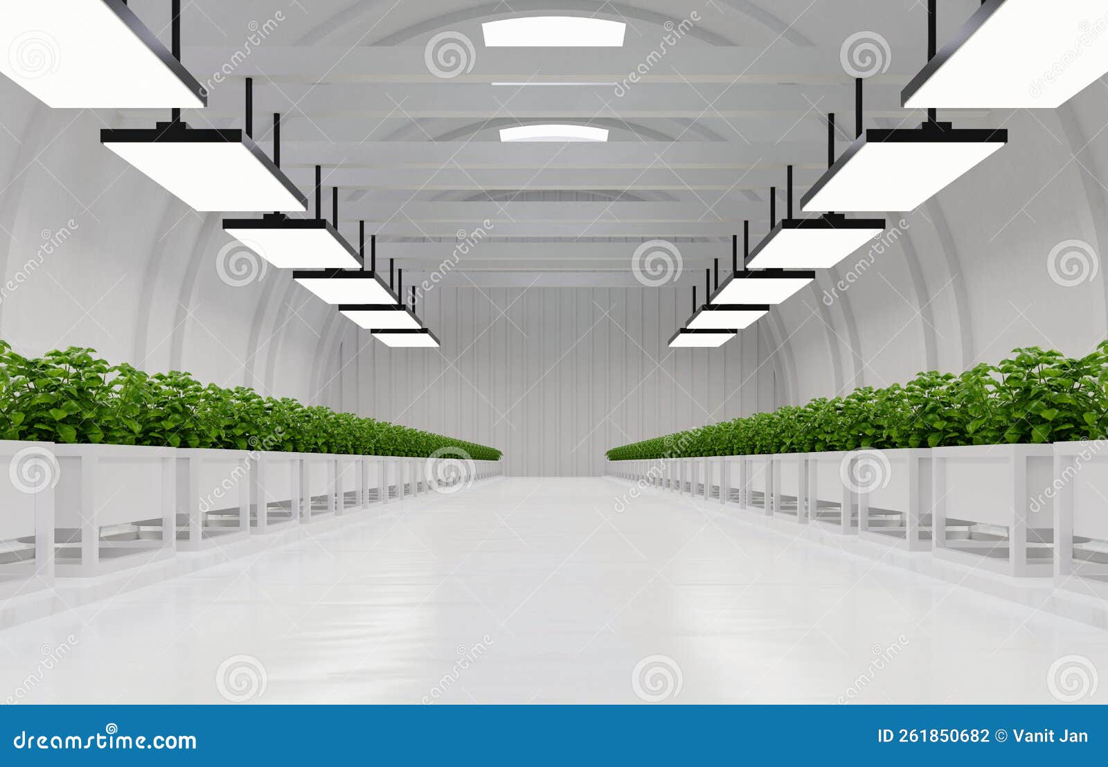 Hydroponic Vegetable Plant Factory in Exhibition Space Warehouse Stock ...