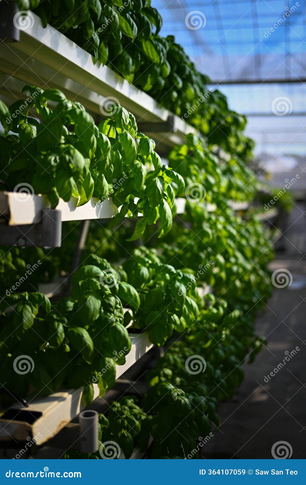 Vertical Farming, Large Scale Stock Photography | CartoonDealer.com ...