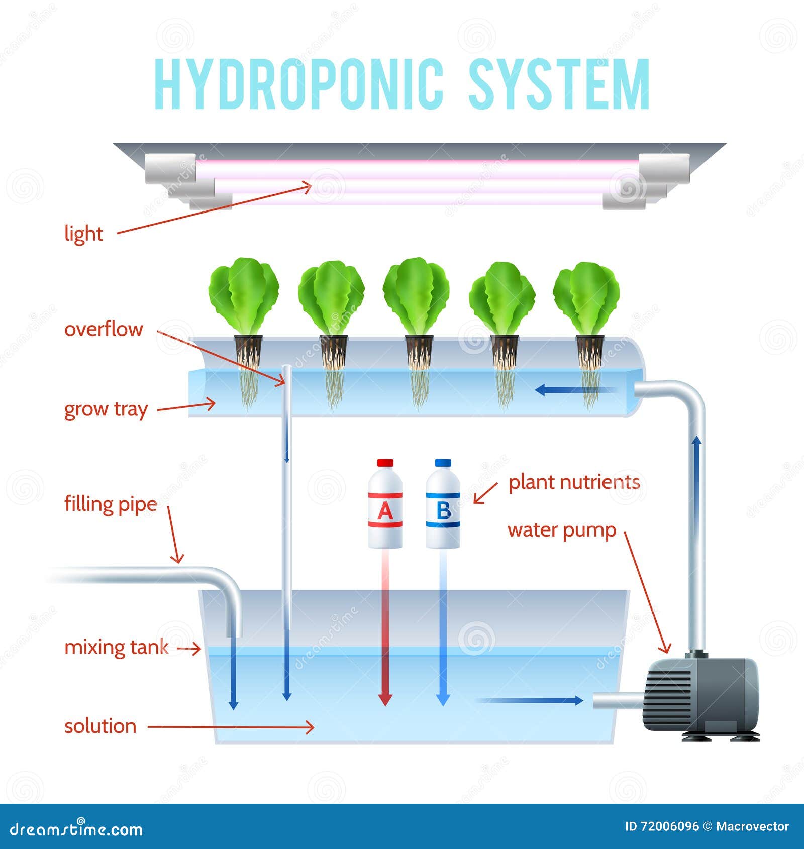 Hydroponics Infographic Set Vector Illustration | CartoonDealer.com ...