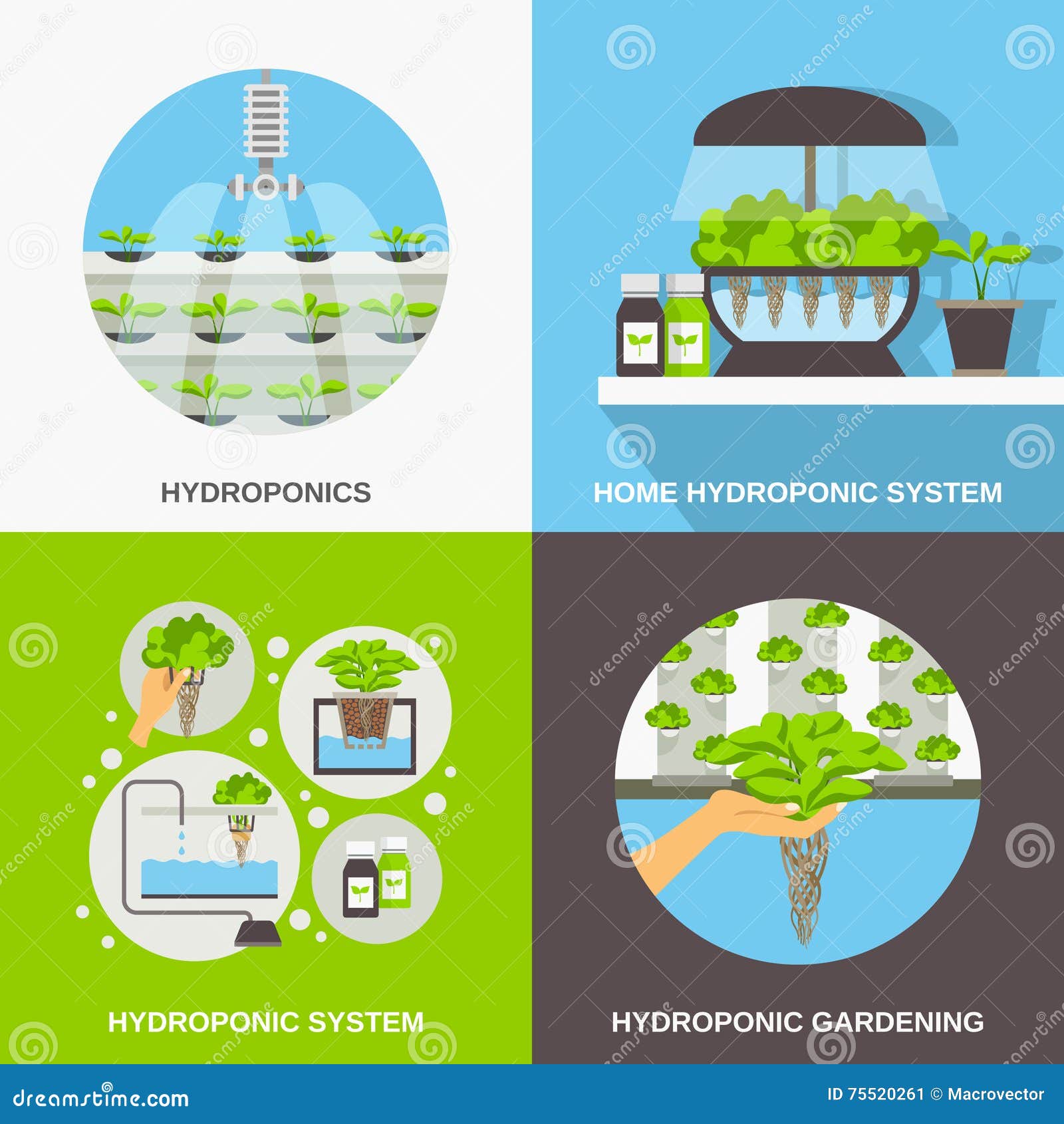 Hydroponics Flat Concept stock vector. Illustration of fresh - 75520261