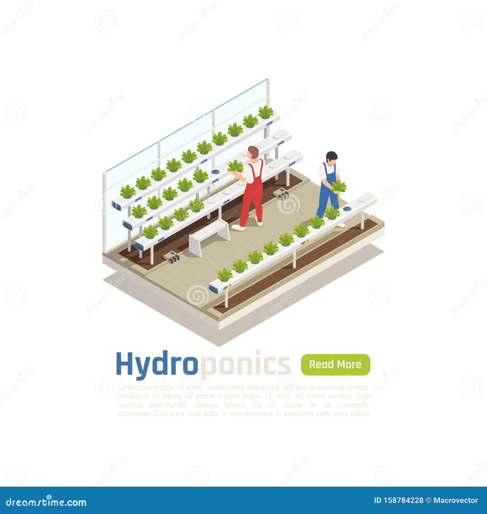 Greenhouse Isometric Flowchart Cartoon Vector | CartoonDealer.com ...