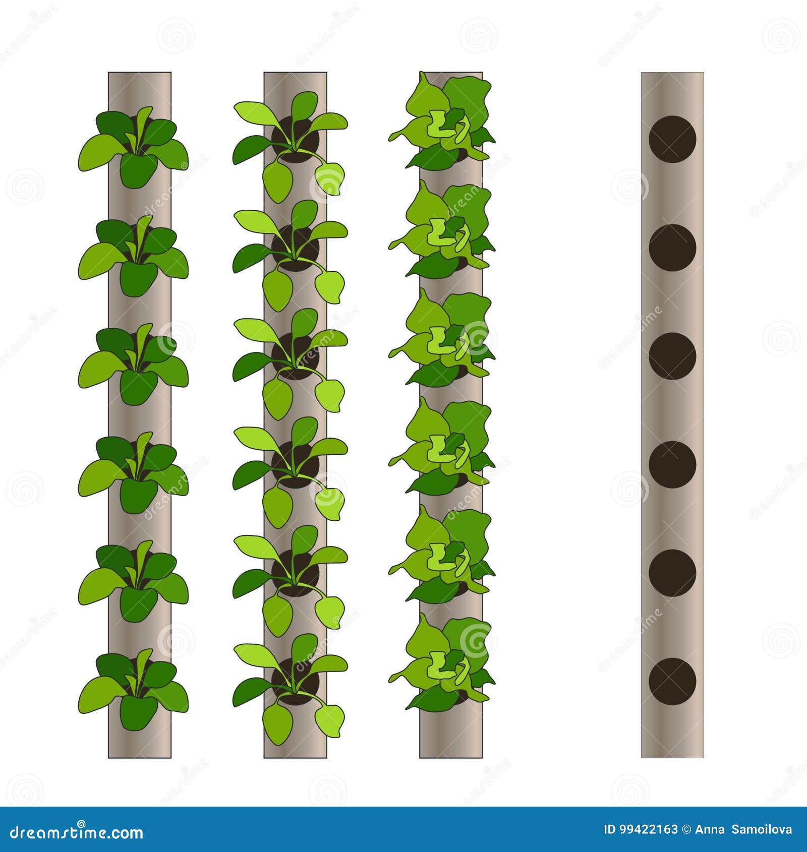 Hydroponic System stock vector. Illustration of roots - 99422163