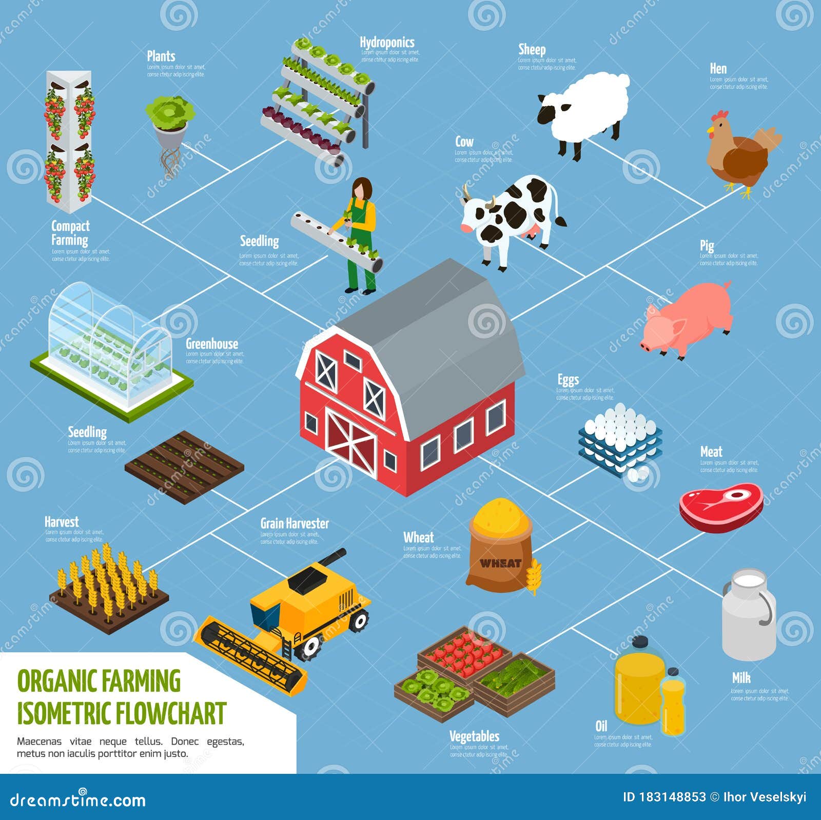 Hydroponics Isometric Flowchart Stock Vector - Illustration of farming ...